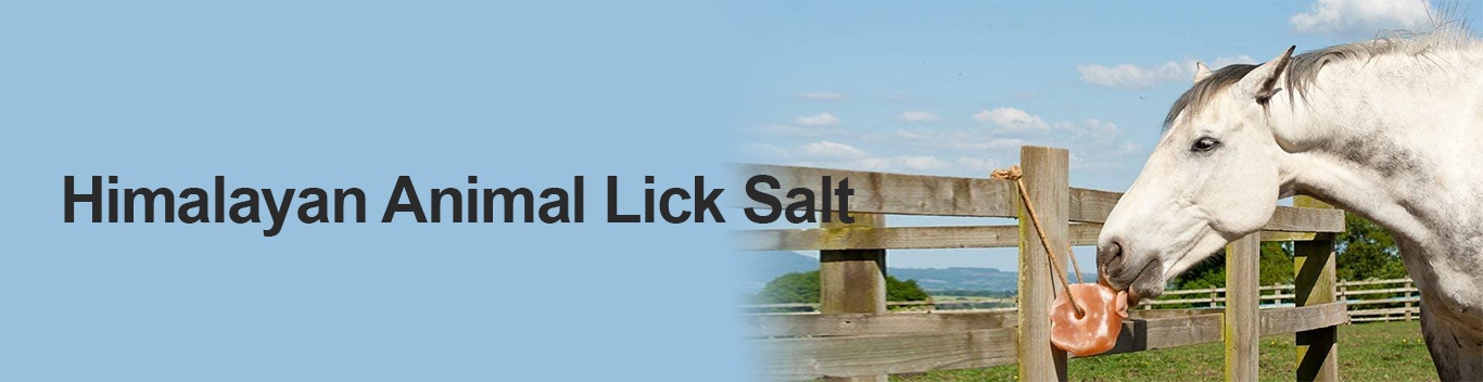 HF FOODS | Purest Himalayan Pink Salt